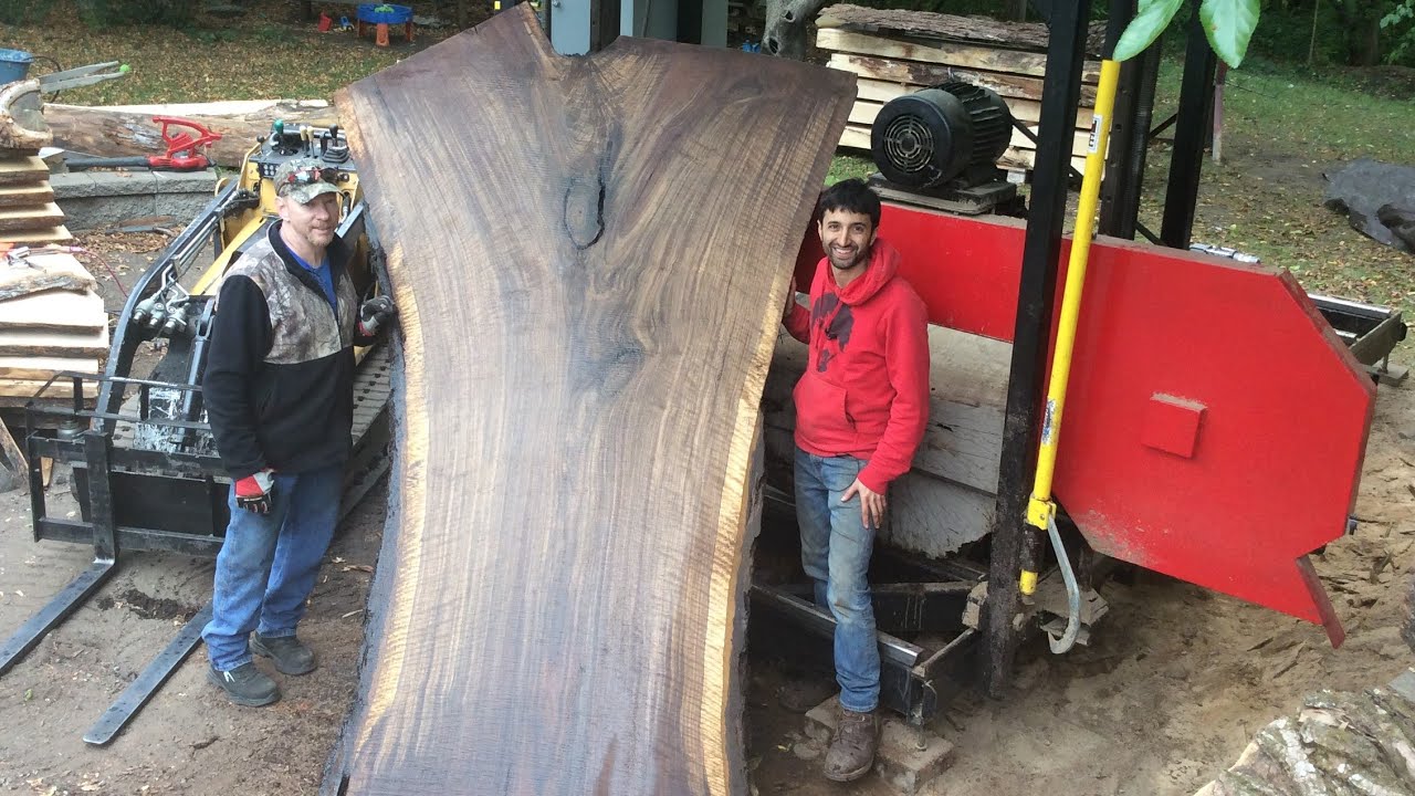 sawing giant walnut into stunning slabs