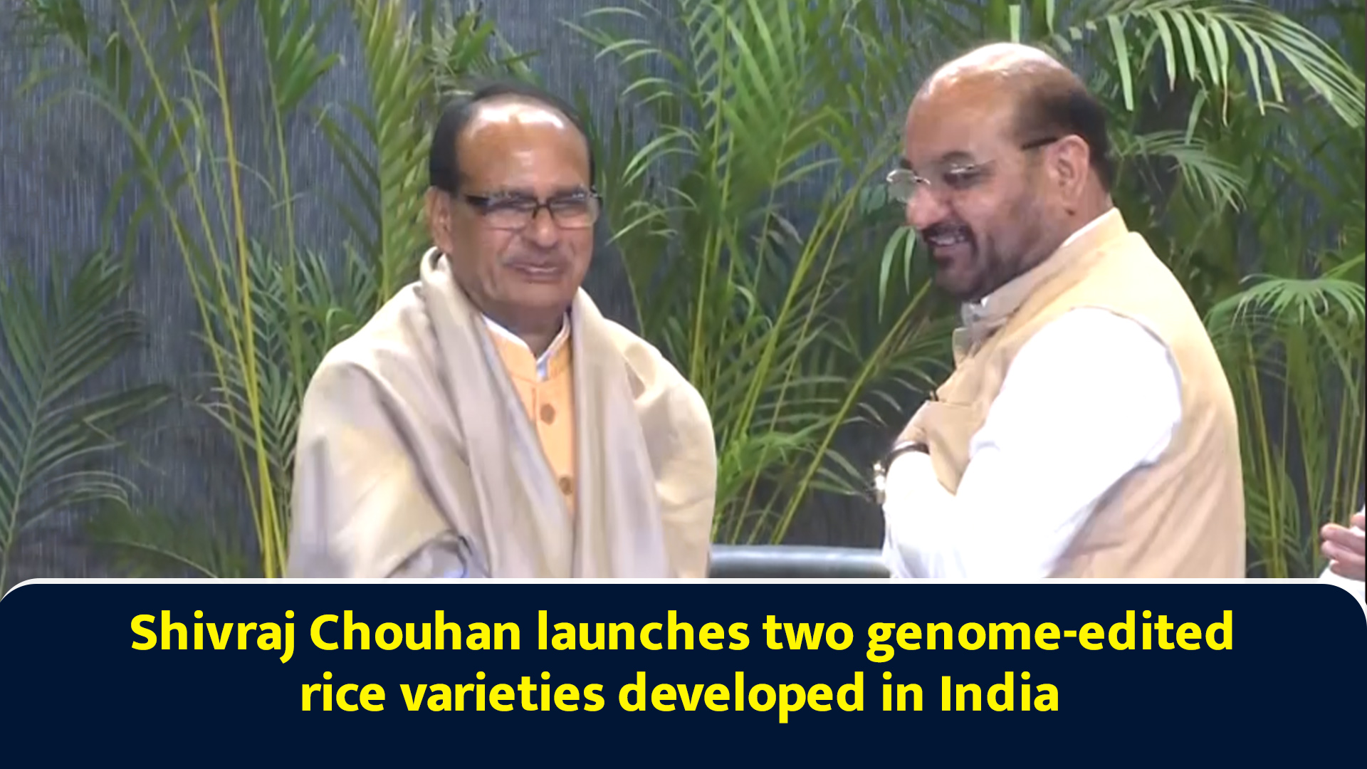 Shivraj Chouhan launches two genome-edited rice varieties developed in ...