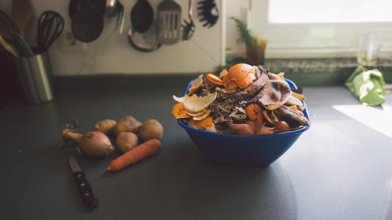 Reuse Fruit Scraps And Turn Them Into Bespoke Wall Decor