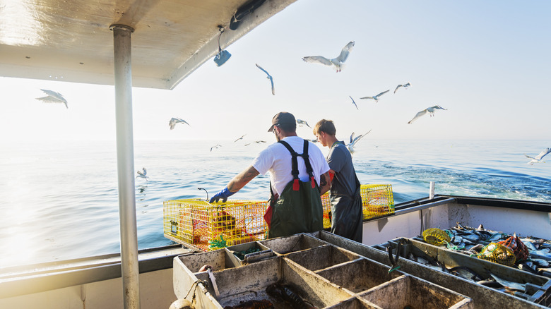 17 Small Towns That Are Hidden Gems For Seafood Lovers