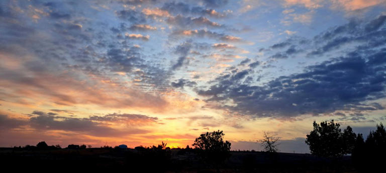 Viewer Photos of the Month: April 2025