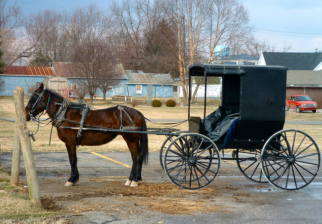 Amish Coleslaw Recipe: Old Fashioned Creamy Slaw