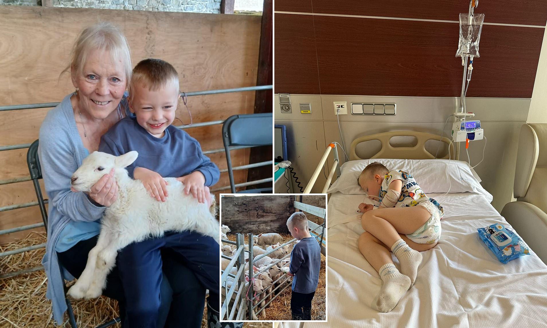 Boy, 4, raced to hospital after getting 'nightmare' symptoms on holiday ...