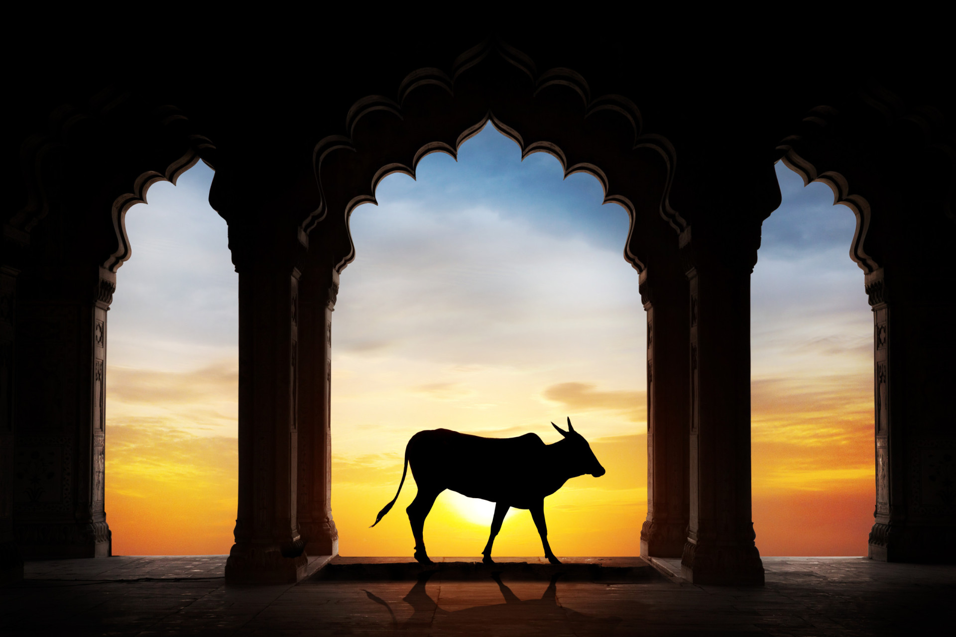 Animals in mythology and religion around the world