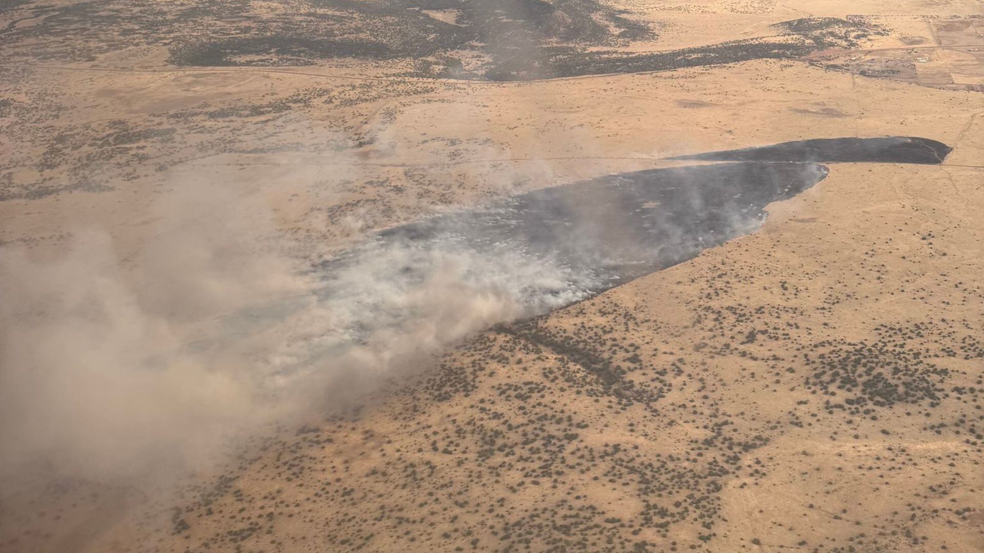 Coyote Fire burns over 1,000 acres northeast of Springerville