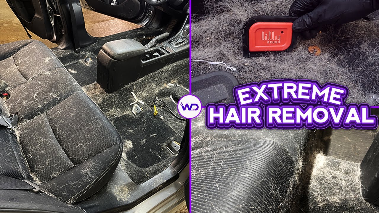 Hairiest Subaru Ever Gets Extreme Dog Hair Makeover