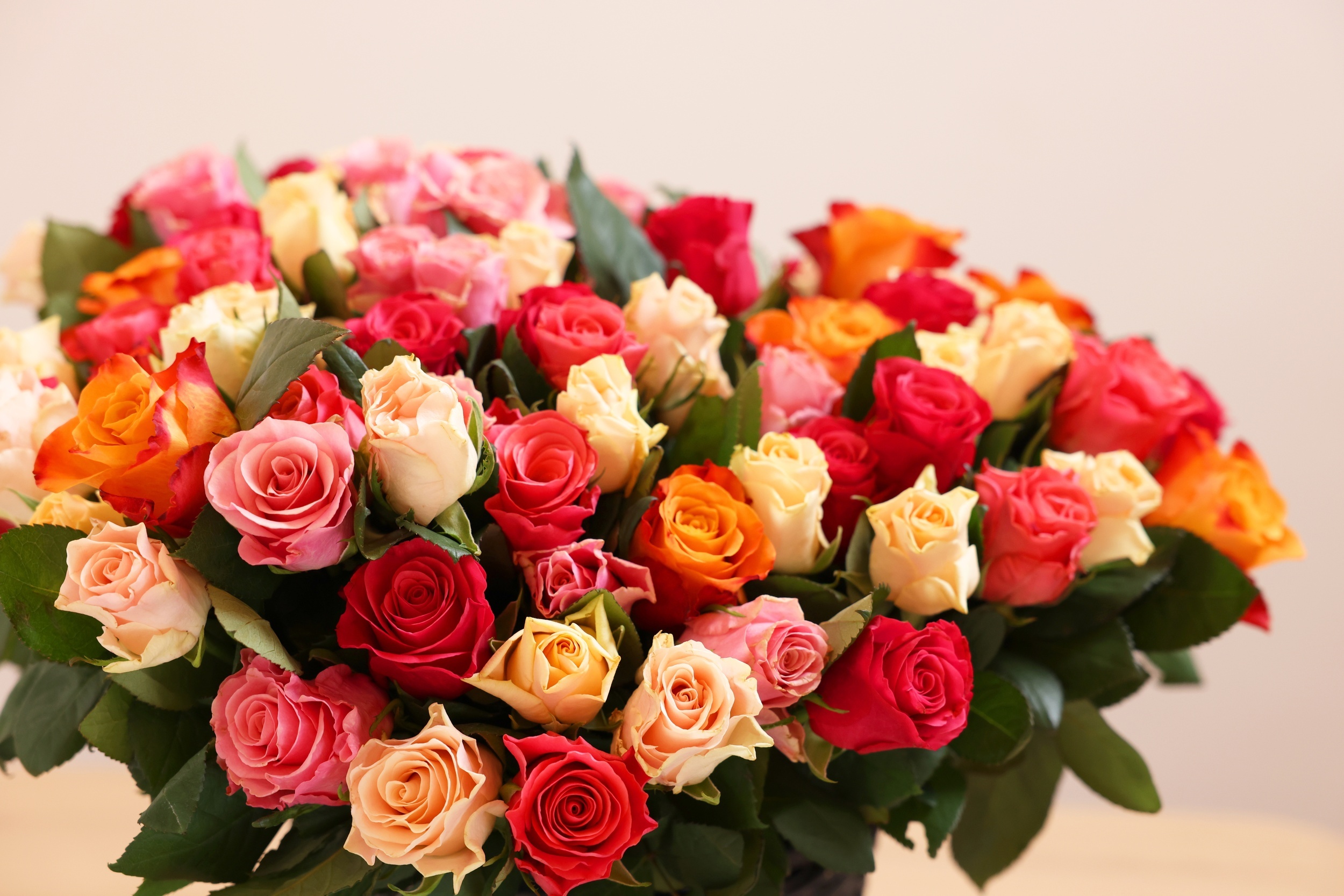 20 popular flowers with surprisingly deeper meanings