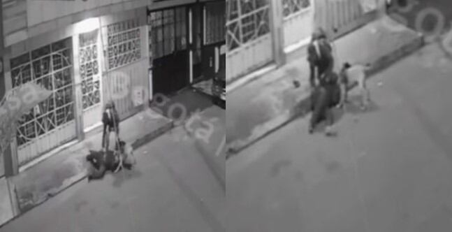 Ladrón cometió atraco con ayuda de un perro en Bogotá y lo abandonó al huir