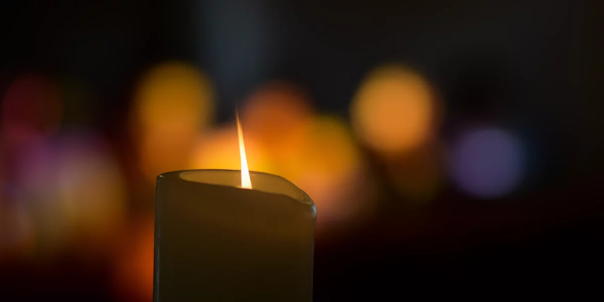 Österreichischer Politik-Experte Hubert Sickinger verstorben