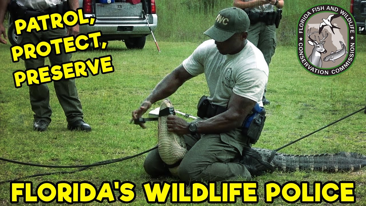 Inside Florida’s Fight Against Poaching and Habitat Destruction