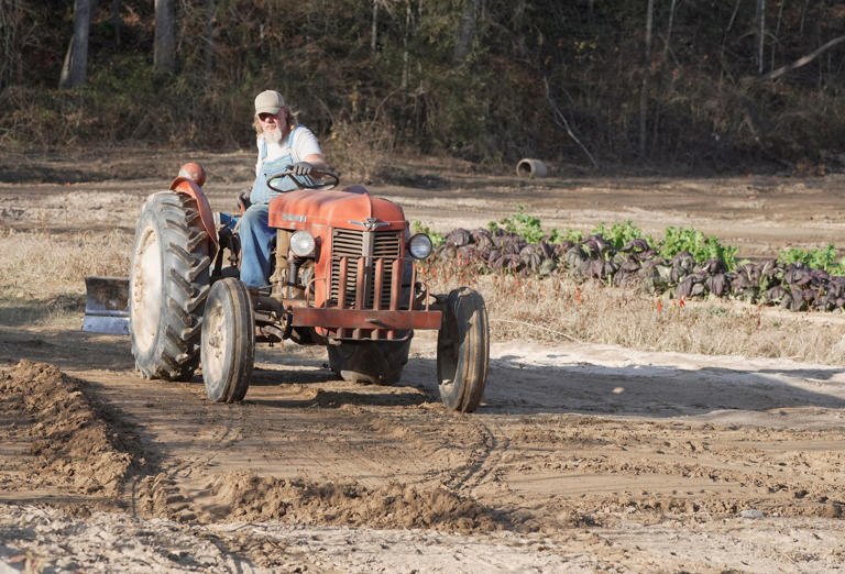 USDA extends deadline for Helene-damaged farms in Western NC to apply ...
