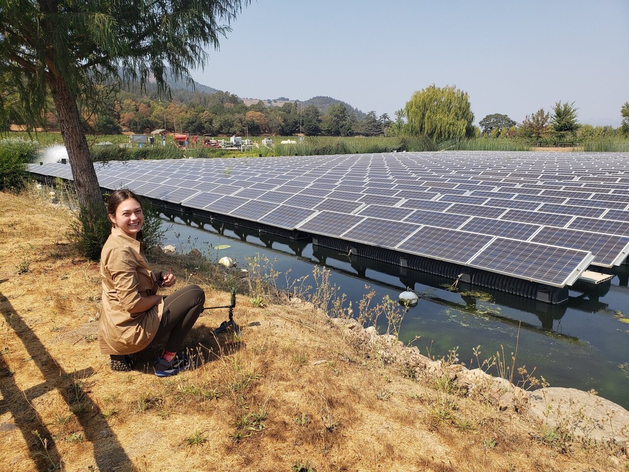 Helping birds and floating solar energy coexist