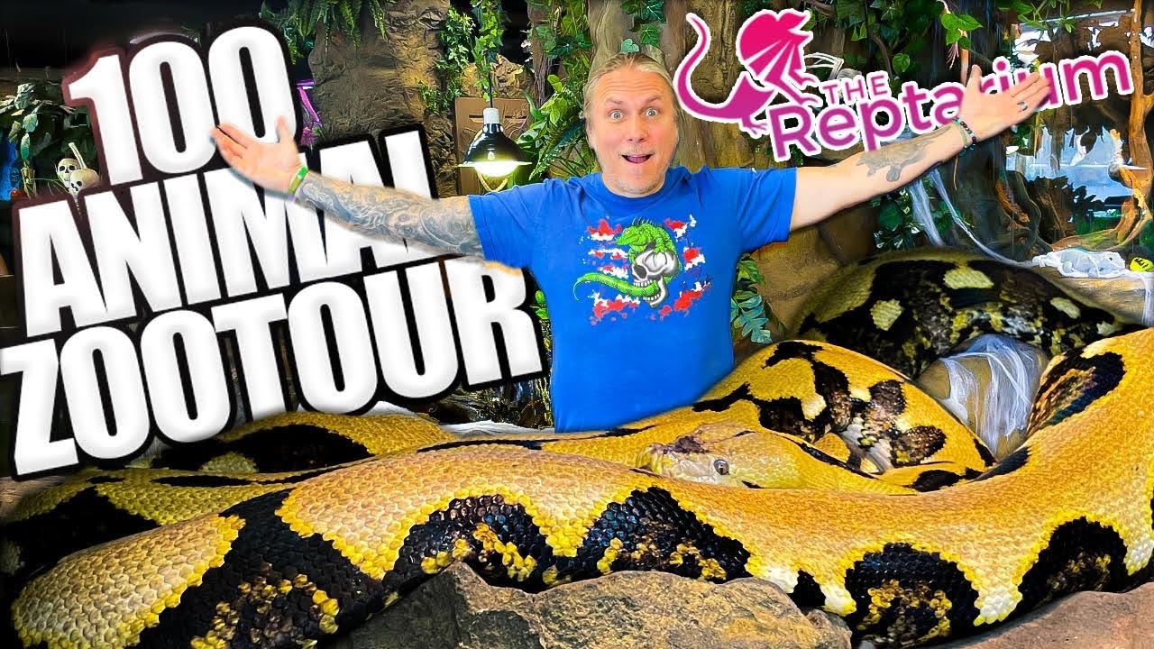 100 animals in one reptile zoo tour