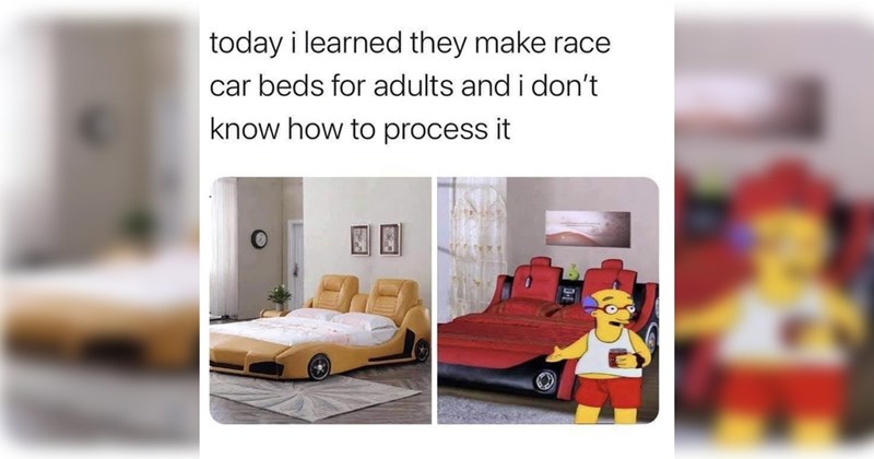 A Morning Ritual of 30 Memes