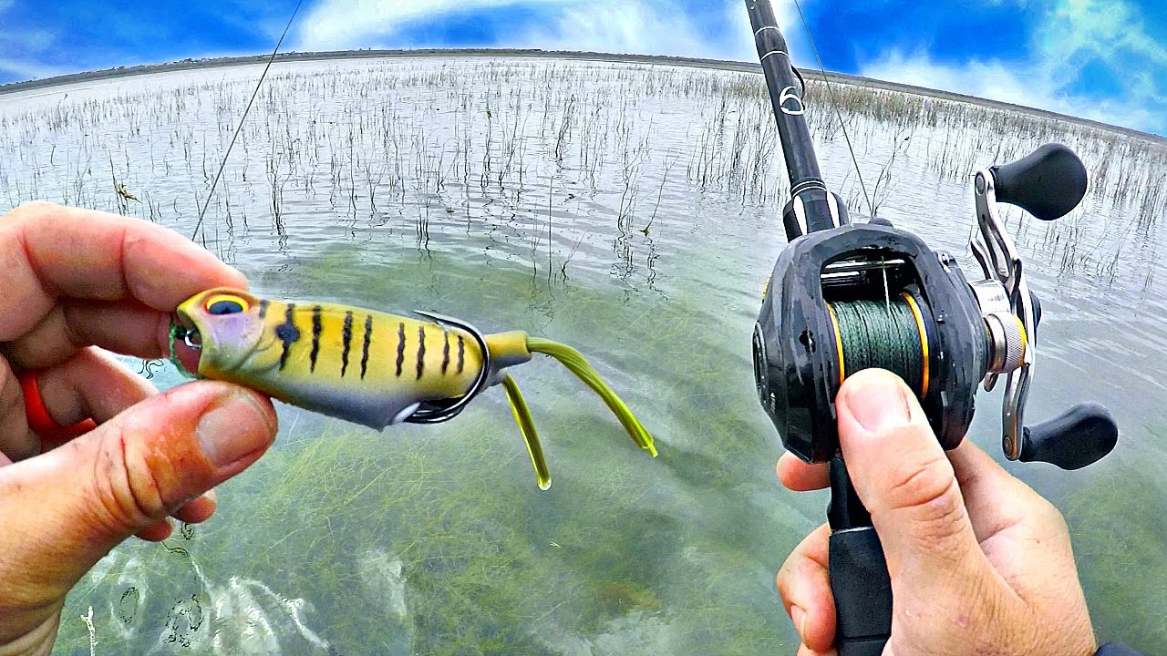 Fishing double-digit bass with a new frog lure