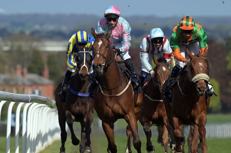 'I fancy trainer's remarkable winning streak to continue with rip ...