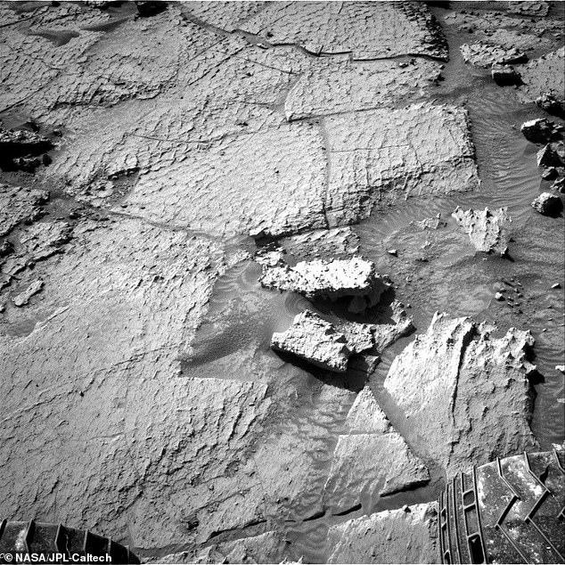 Scientists BAFFLED after discovering weird 'honey and waffle ...