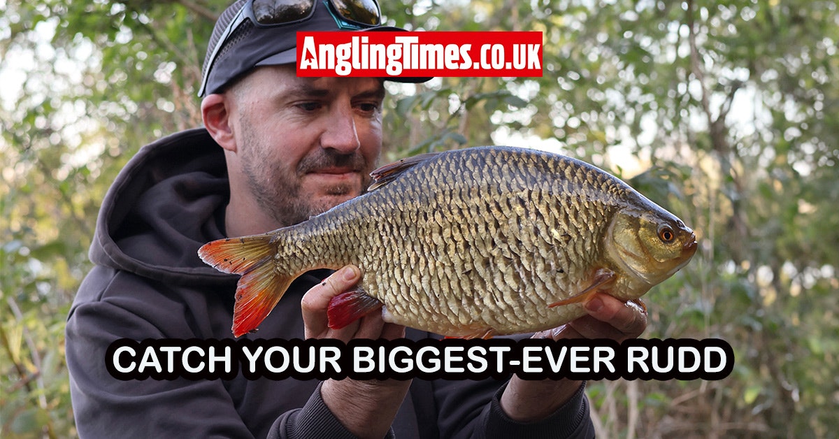 Try these tactics to catch big rudd | Stephen Gibbons