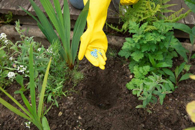 Homeowner’s Guide to Garden Fertilizers