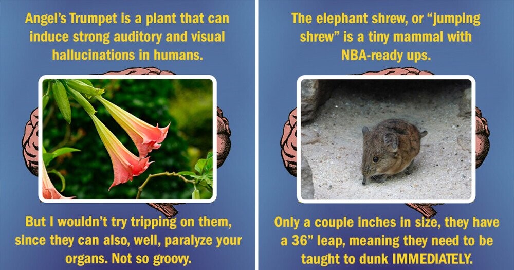 Fun Facts Guaranteed To Melt Your Monday