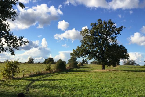 700-home and primary school plan submitted for green belt land