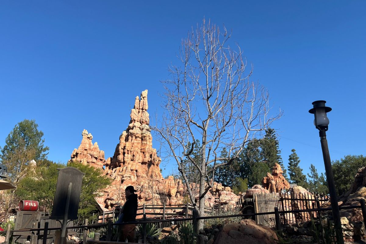 6 Disney World Ride Closures For August 2025