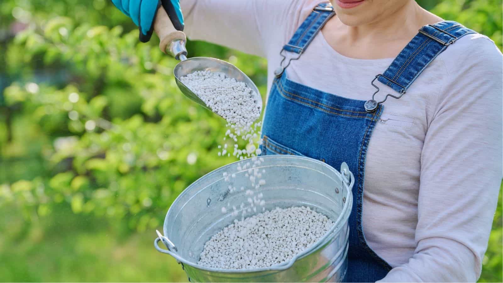 9 Things in Your Kitchen That Double as Fertilizer