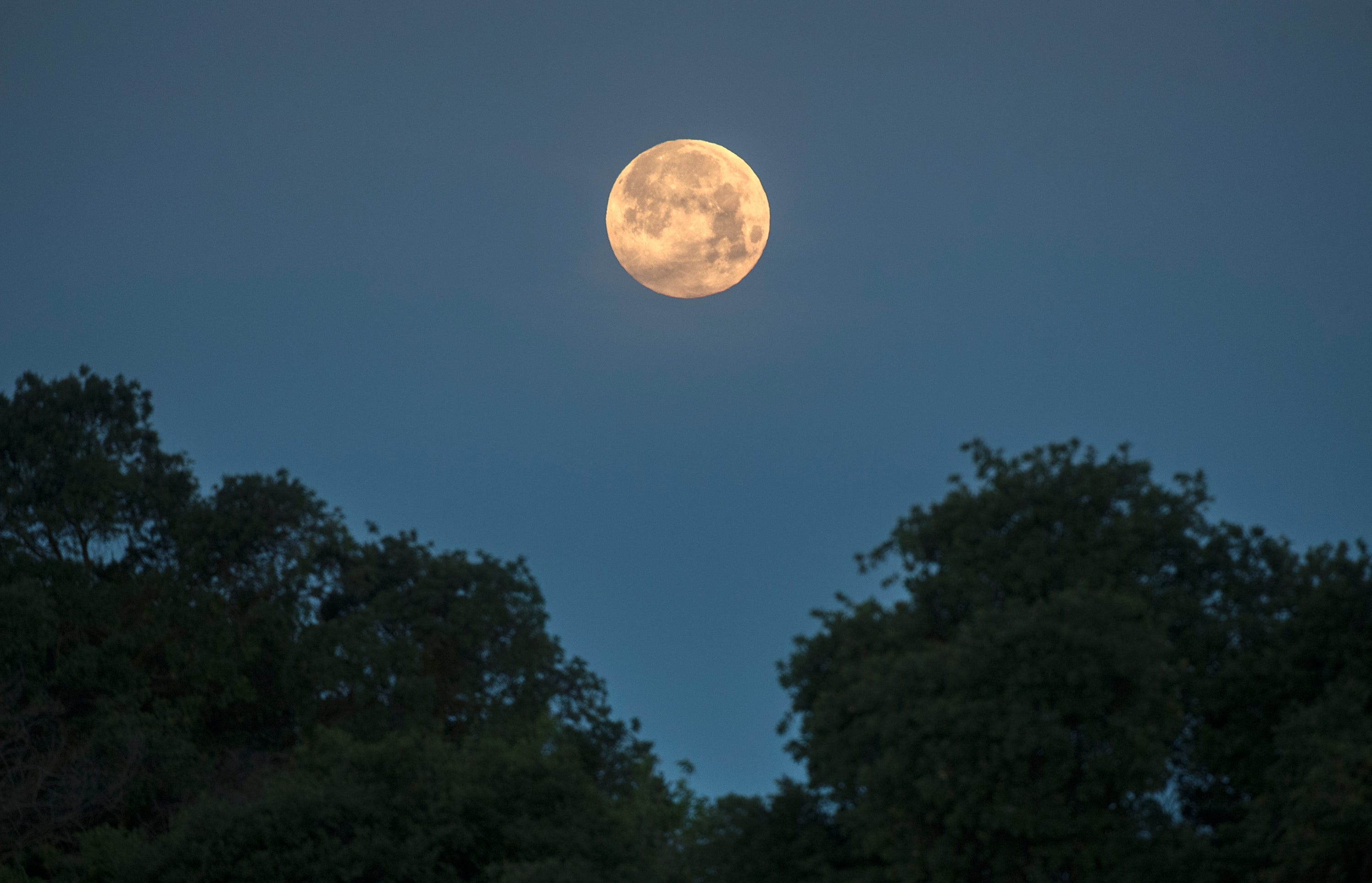 What is the Flower moon? Here's when, how to see May’s full moon, a ...