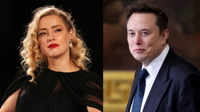 There's a Rumor Elon Musk Is the Father of Amber Heard's Twins After ...