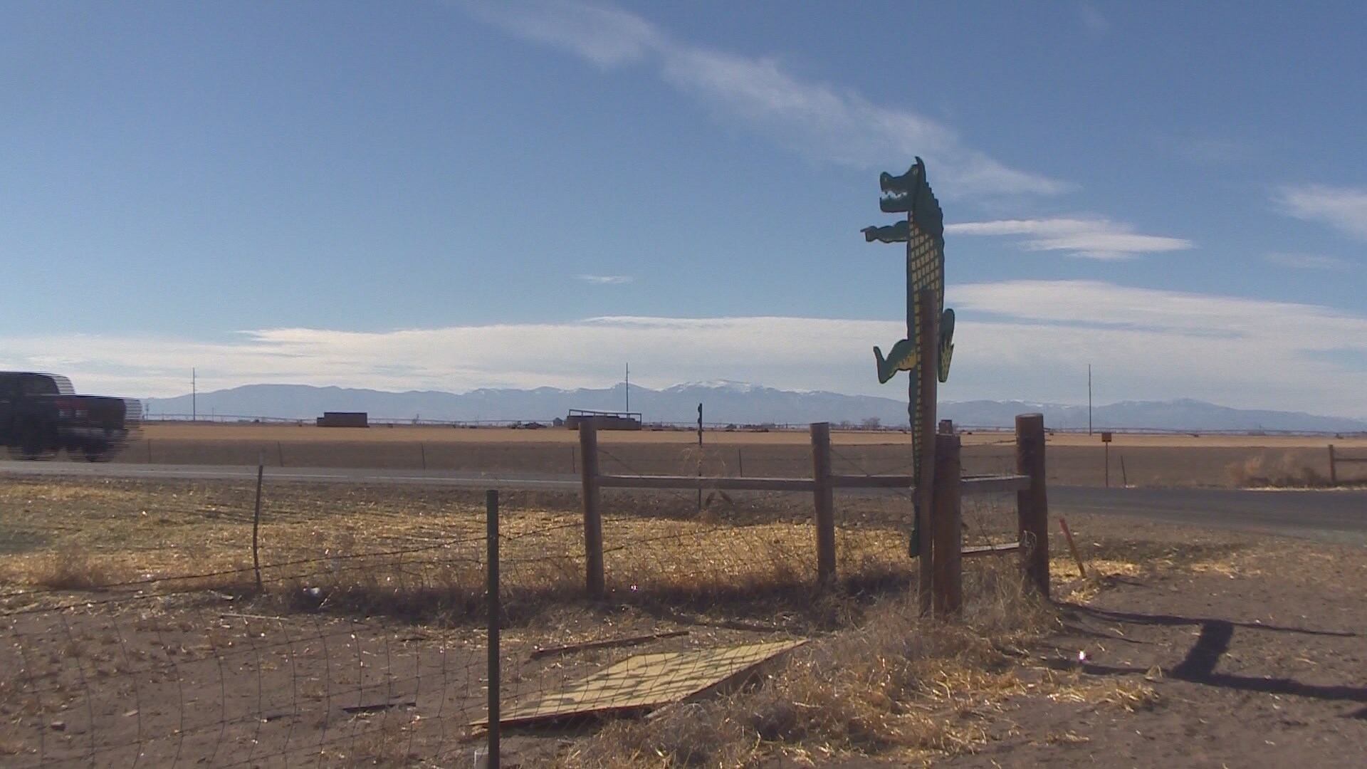 Colorado Gator Farm announces passing of beloved alligator Morris of ...