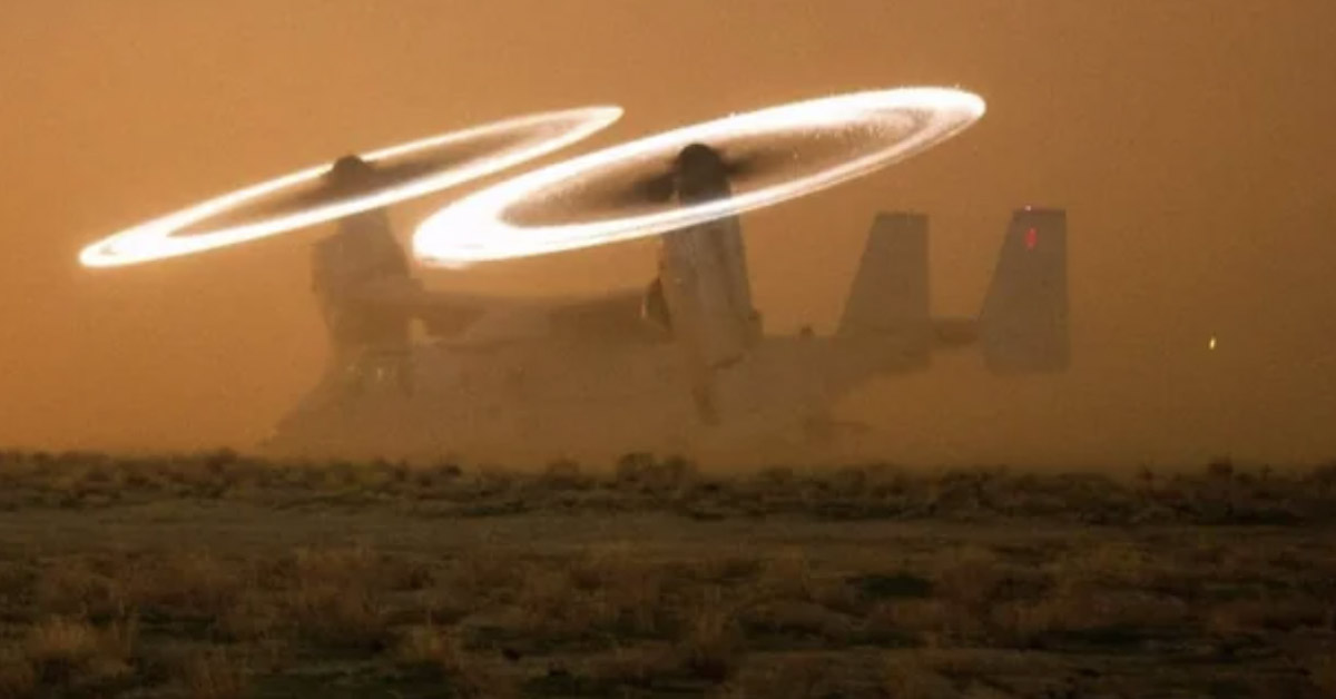 40 Fun Randoms to Tickle Your Brain