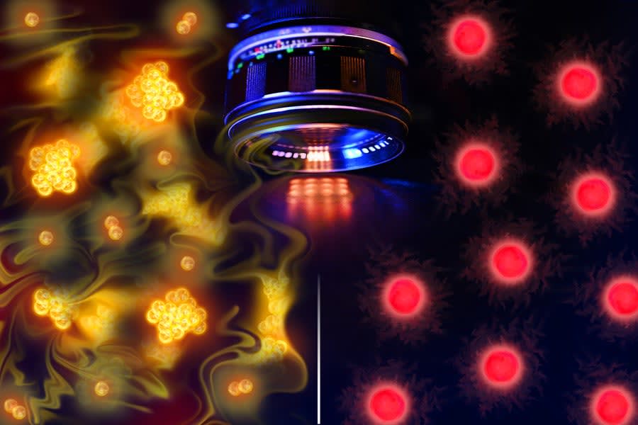 MIT scientists capture first images of quantum interactions