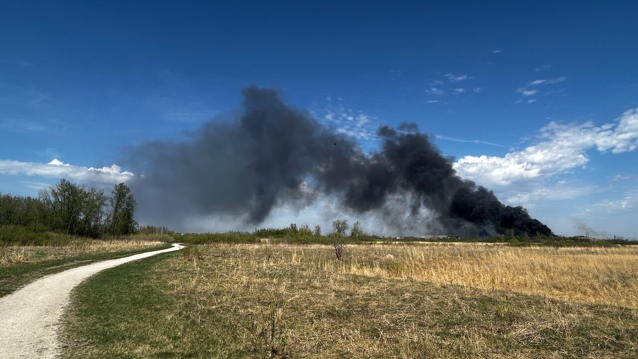 Grass fire damages multiple commercial businesses in Winnipeg's ...