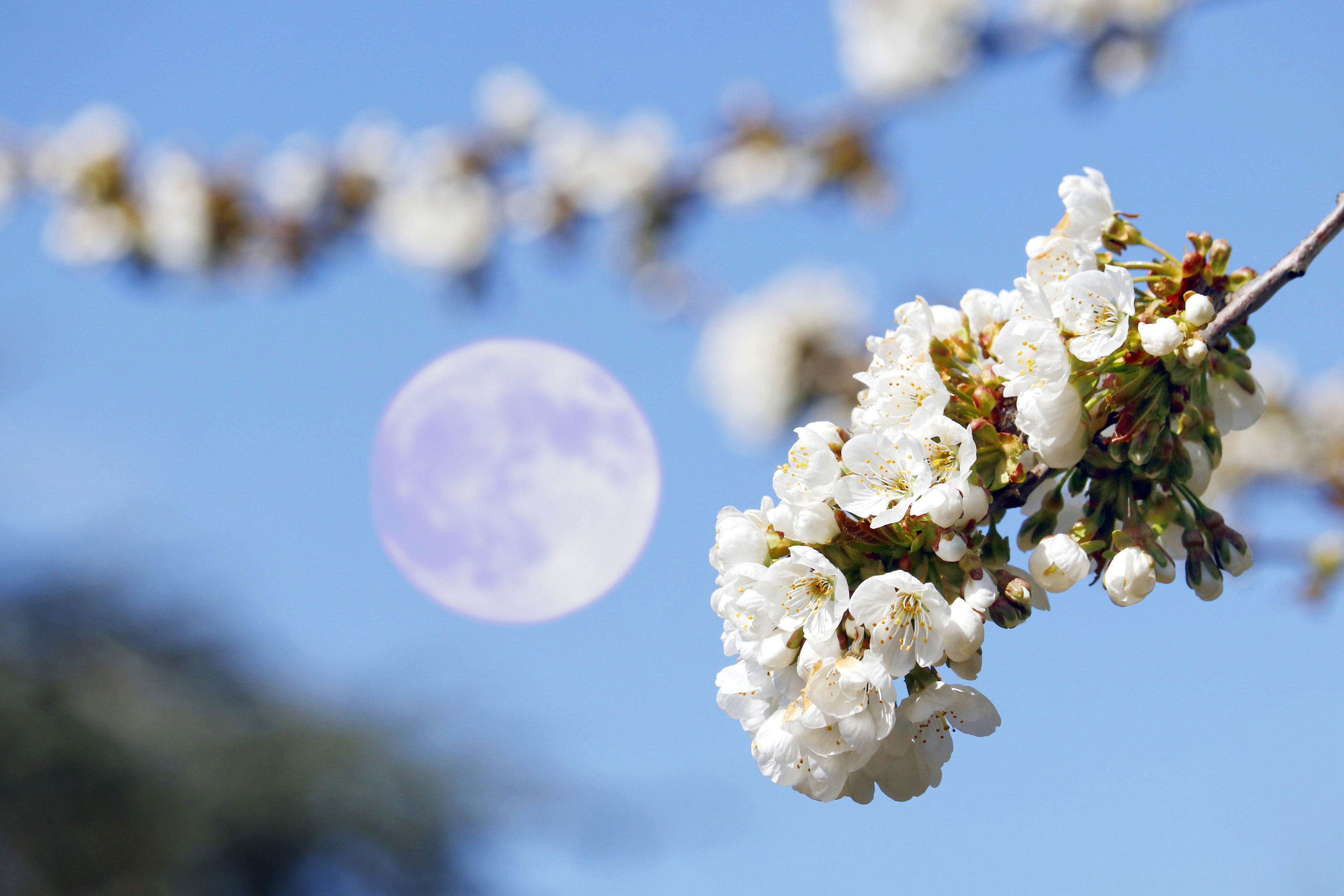Why Full Moon Names Can Get a Little Supercalifragilisticexpialidocious