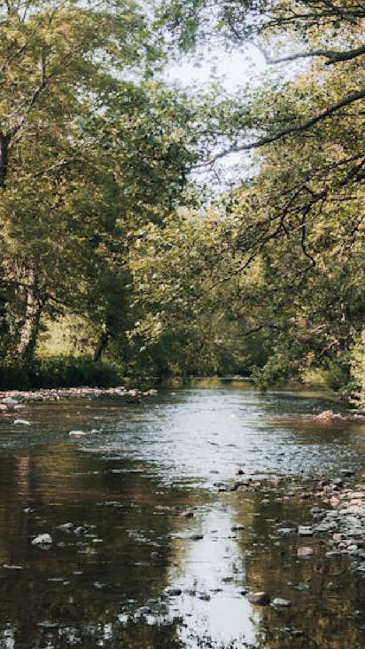 Check out the 7 most polluted rivers