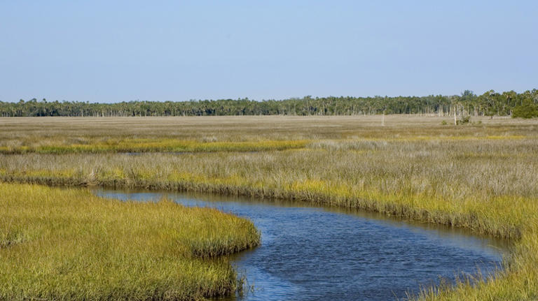 A Small, Quiet Town On Florida's Nature Coast Features Vintage Diners ...