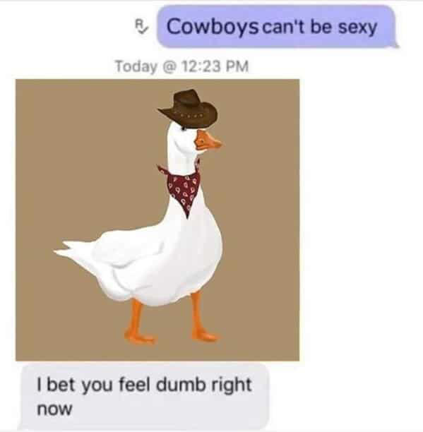 40 Funny Bird Memes For People Who Love A Good Squawk (May 12, 2025)