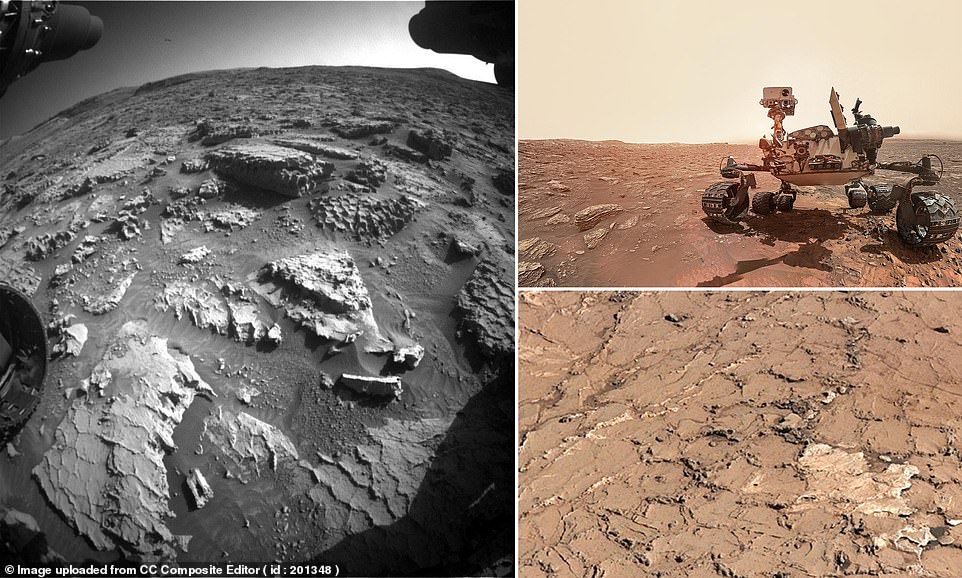Scientists discover 'honey and waffle' structures on Mars