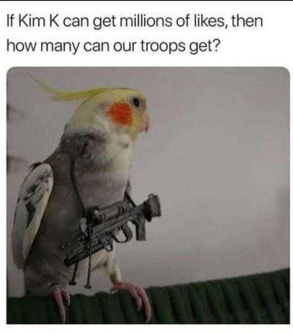 40 Funny Bird Memes For People Who Love A Good Squawk (May 12, 2025)