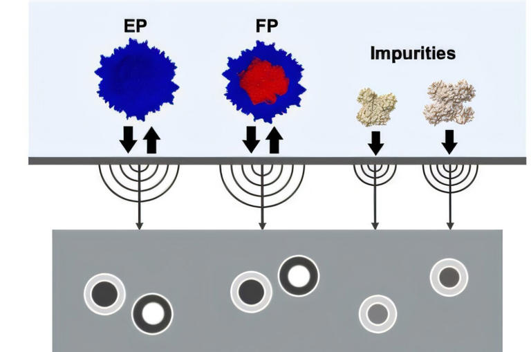 Mass photometry technique speeds up quality control in gene therapy ...