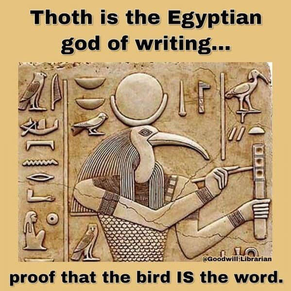 40 Funny Bird Memes For People Who Love A Good Squawk (May 12, 2025)