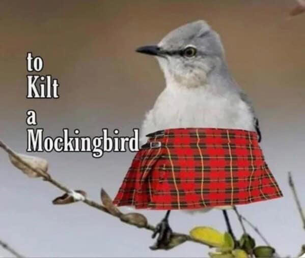 40 Funny Bird Memes For People Who Love A Good Squawk (May 12, 2025)