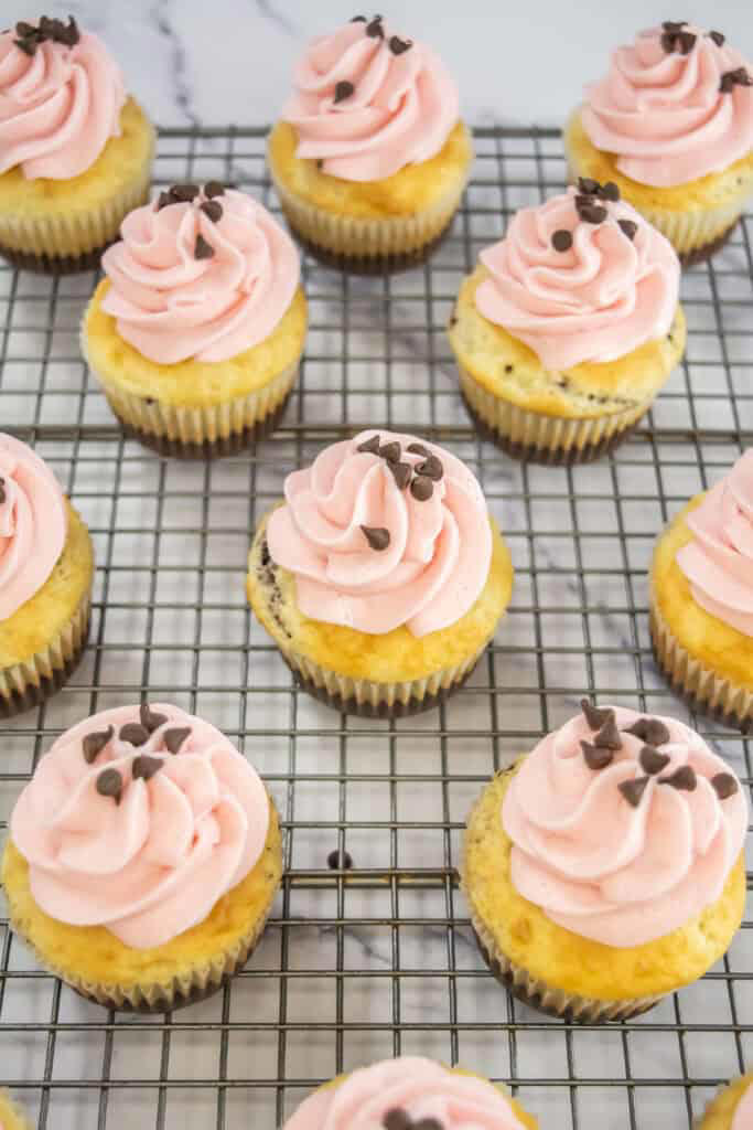 How to Make Neapolitan Cupcakes Recipe: Easy Pretty Dessert