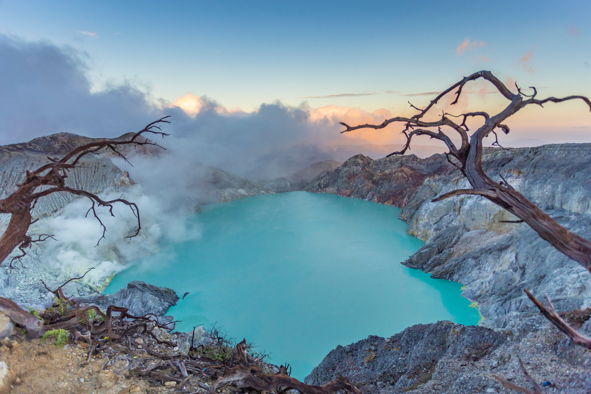 Is it possible to bring humans back from extinction?