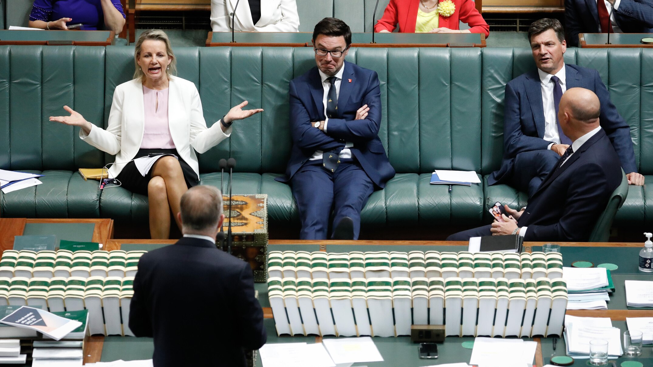 Liberal leadership race between Ley and Taylor goes down to the wire as ...