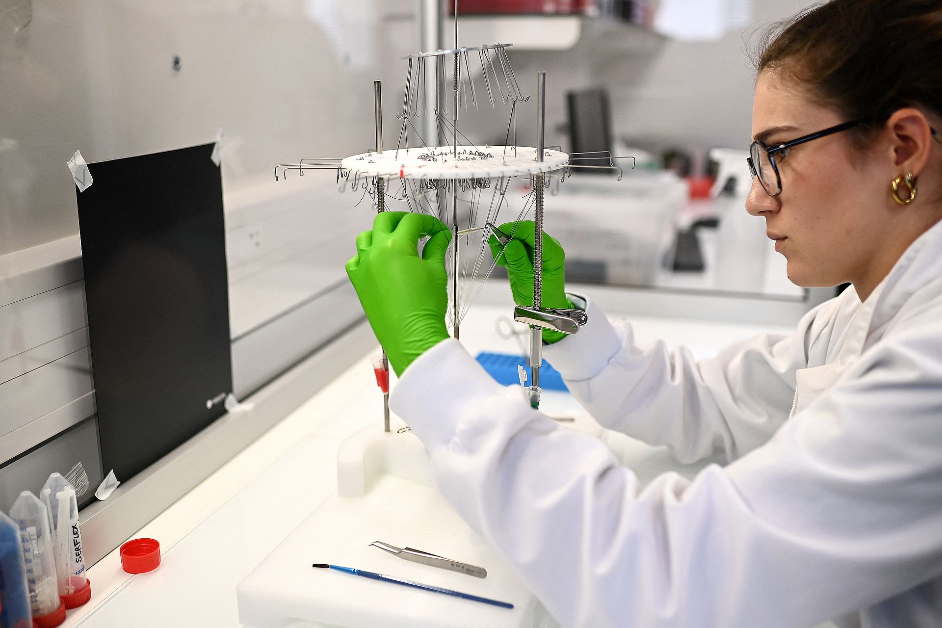 Europe claims American scientists fleeing Trump's cuts