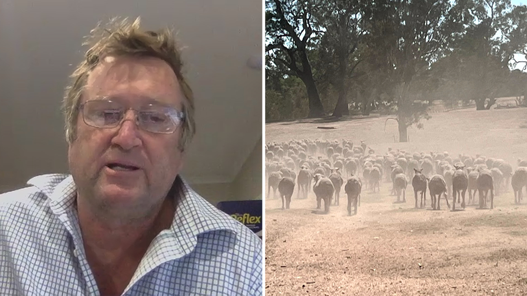 Cattle, lamb slaughters rocket up as droughts, floods hit farmers