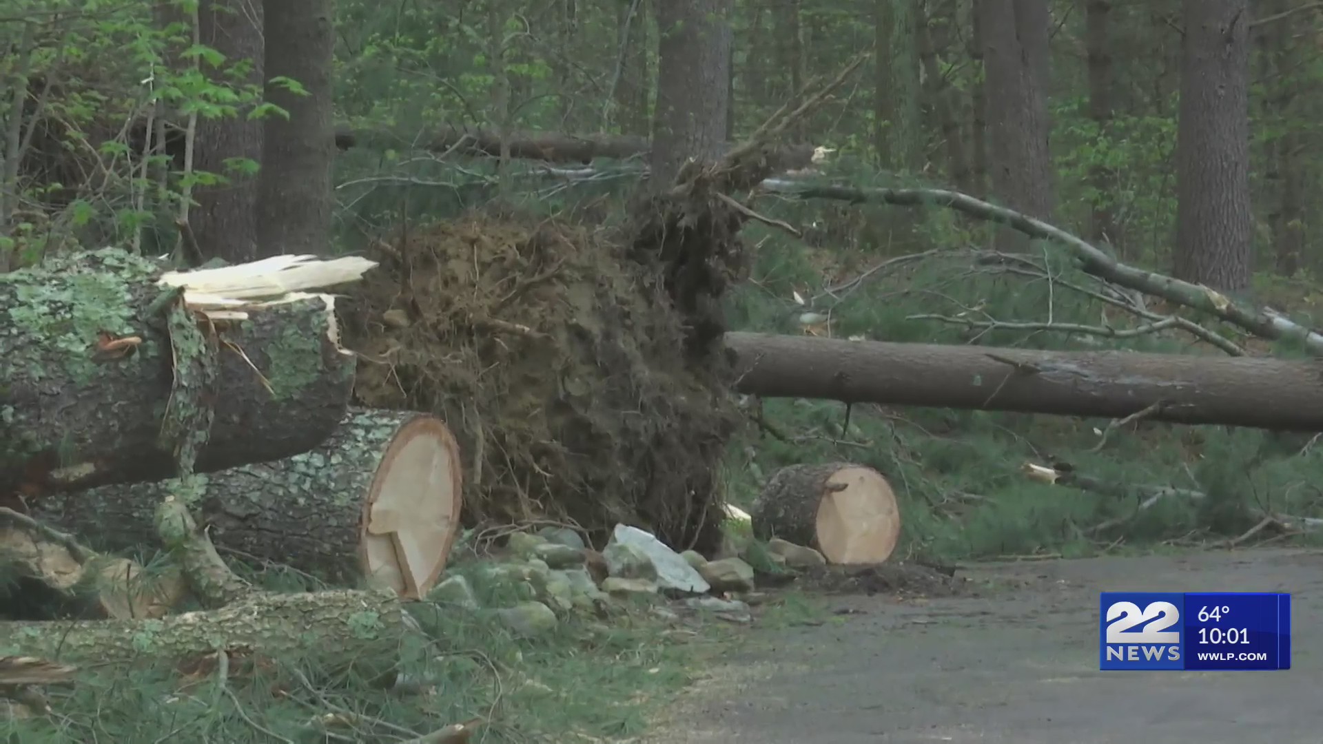 Clean-up continues after short but strong storm hits Eastern Hampden ...