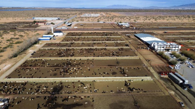 MG Windsor Pro Vs Windsor: What Are The Changes?