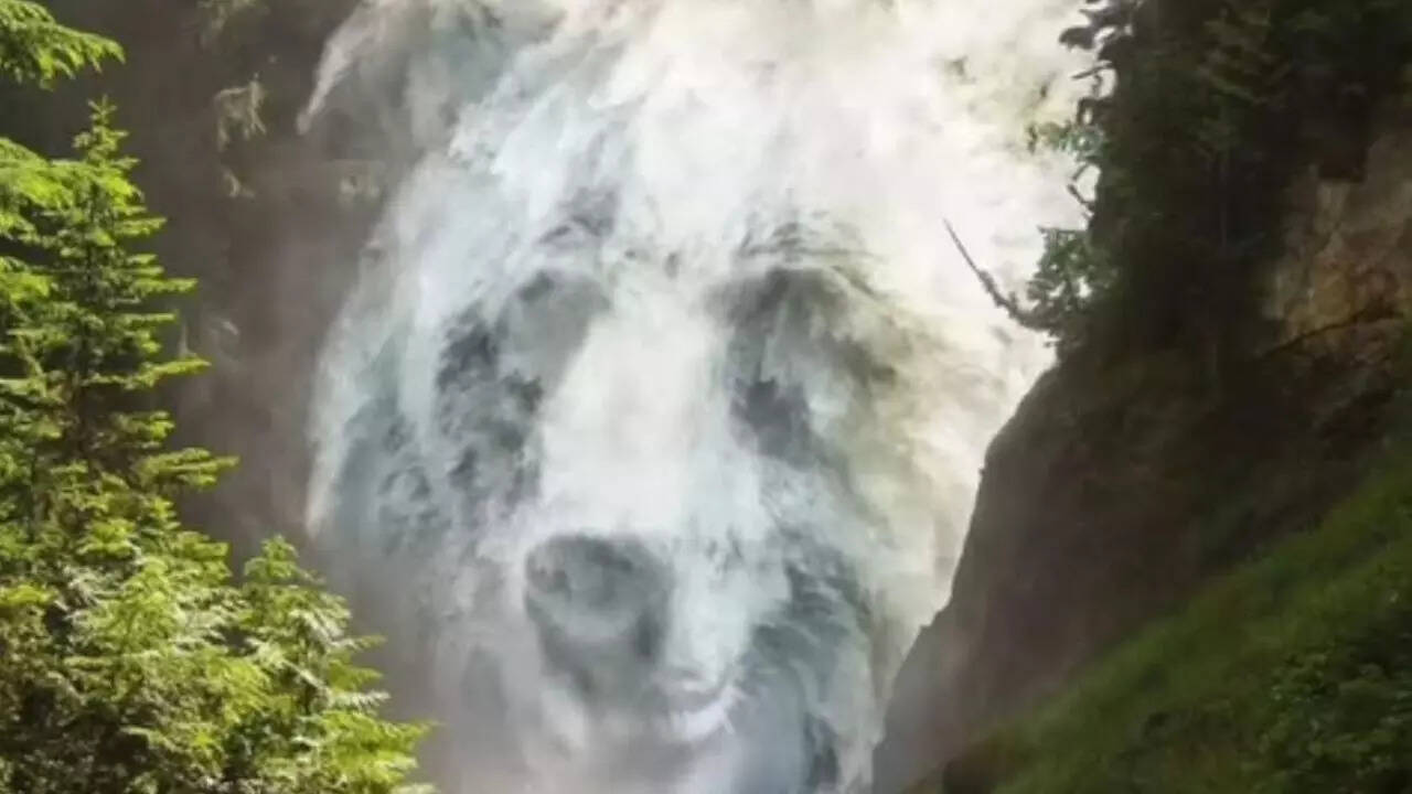 Optical illusion personality test: Water fall or bear? What you see ...